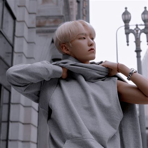Kpop Boy Group Seventeen Wonwoo Scoups Jeonghan Joshua Jun Hoshi The