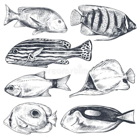 Colección Vectorial De Peces Exóticos Dibujados a Mano En Estilo Boceto