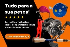 Guia completo sobre carretilhas de pesca escolha uso e manutenção