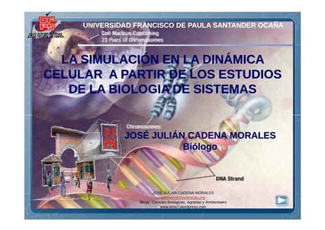 PDF LA SIMULACIÓN EN LA DINÁMICA CELULAR A PARTIR DE PDF