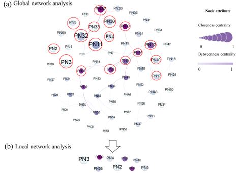 complex network analysis results node attribute value visualization download scientific diagram