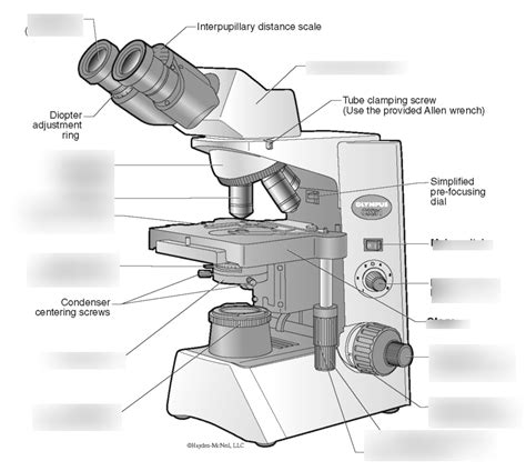 Micro Midterm Parts Of The Microscope Diagram Quizlet