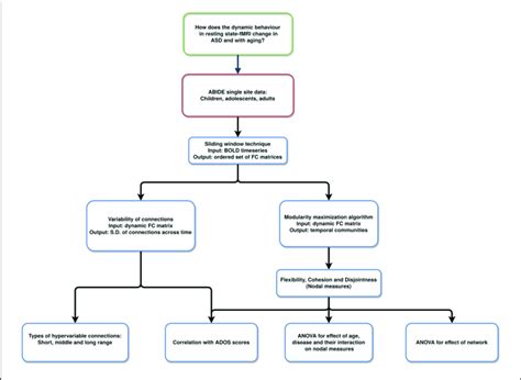 pipeline of the analysis resting state fmri data used to analyze download scientific diagram