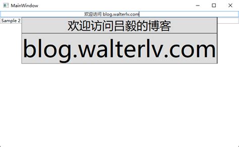 systemvalidoperationexception “寄宿 hwnd 必须是子窗口。” walterlv