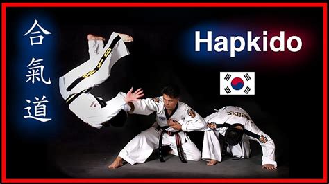 El Arte Marcial De Los Soldados Coreanos Korean Hapkido Youtube