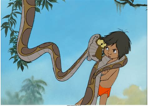 The Jungle Book Mowgli And Kaa Production Cel Setup Walt Disney 1967 Jungle Book Disney