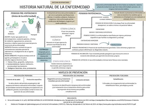 Historia Natural De La Enfermedad Niveles De Prevenci N