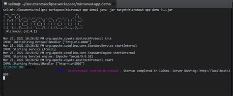 GitHub SelimHorri Micronaut App Demo Bootstrap A Micronaut Java