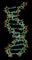 3 4 Nucleic Acids The Evolution And Biology Of Sex