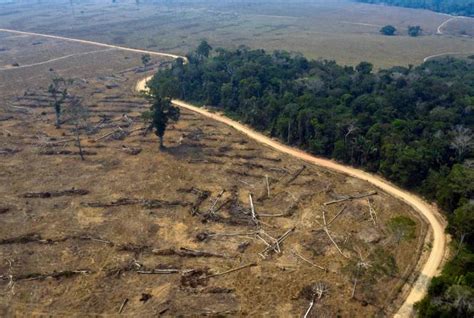 Décrypter 99 imagen carte déforestation amazonie avant après fr