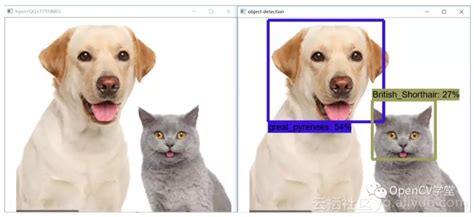 tensorflow object detection api使用之gpu训练实现宠物识别 阿里云开发者社区