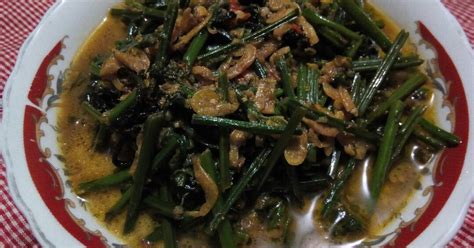 31 Resep Oseng Pakis Udang Rebon Enak Dan Mudah Cookpad