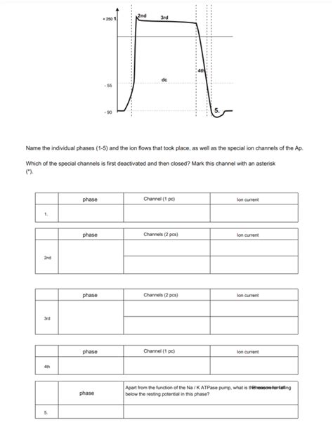 Physio Midterm Figure Analysis Course Of Action Potential Diagram