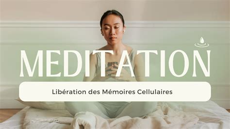301 Méditation pour la Libération des Mémoires Cellulaires YouTube