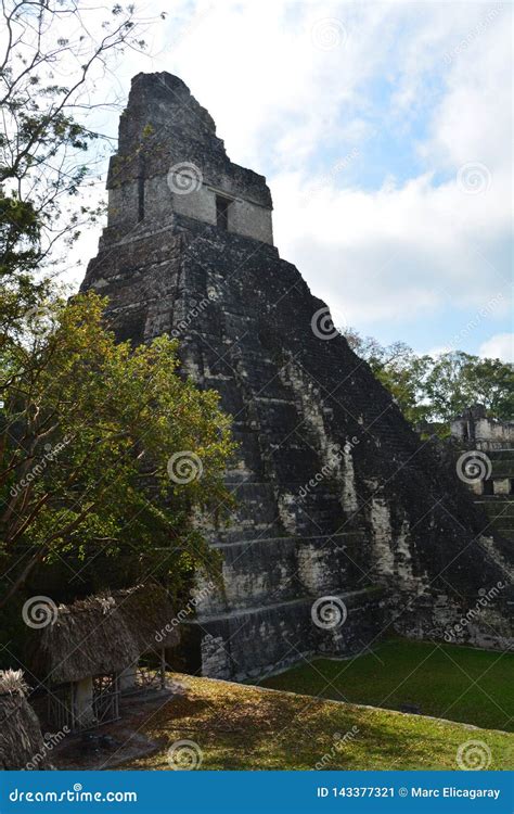 Sitio Arqueol Gico De Tikal En Guatemala Imagen De Archivo Imagen De