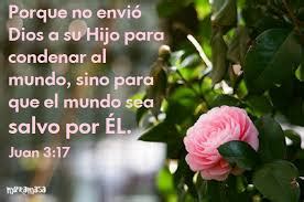 Recursos Cristianas y Textos Biblicos actual texto bíblico con flores