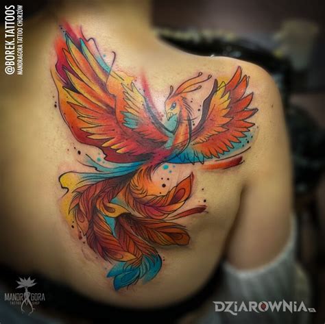 Tatuaż feniks Autor MANDRAGORA TATTOO dziarownia pl