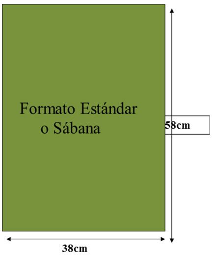 Boletín Científico UAEH
