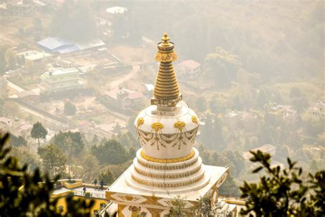 Buddhist Wedding Traditions And Rituals Wedbuddy