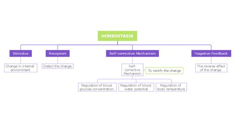 Biology Concept Map Complete Guide With 30 Examples EdrawMind