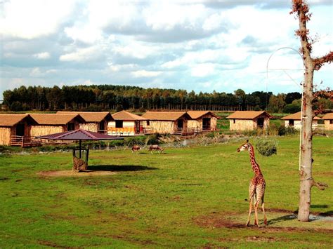 Serengeti Park Safari in der Lüneburger Heide Der Varta Führer