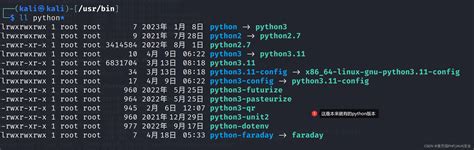 kali linux 安装python 3xx 以及多版本切换的方式 kali python3安装 csdn博客