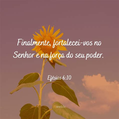 Frases Curtas Da B Blia Para Voc Copiar E Enviar Para Quem Ama
