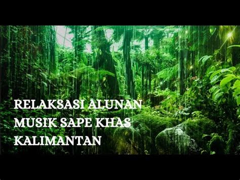 Relaksasi Alunan Musik Sape Kalimantan Tradisional Musik Tradisional