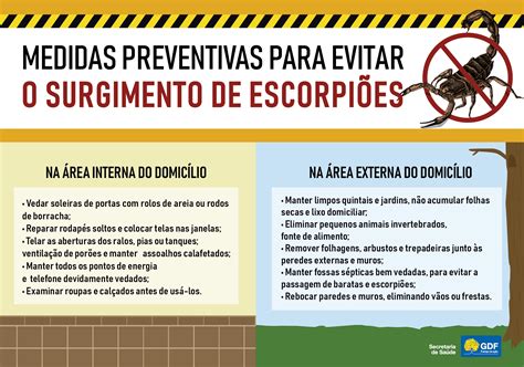 Limpeza adequada ainda é a melhor prevenção contra escorpiões Agência