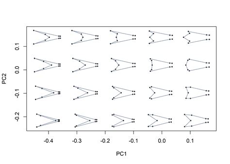 Build Visualize And Explore Multivariate Ordinations Of Shape Data