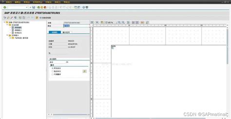 Sap Abap Smartform Abap Smartform Csdn