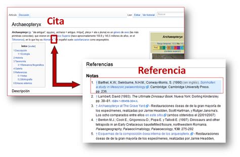 Citas Bibliográficas y Referencias vídeos Oficina de Acreditación y