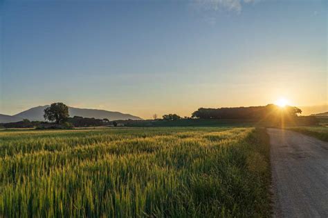 Encara més calor però compte amb els refredats Previsió a Catalunya