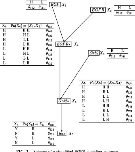 figure 2 from inference in signal transduction pathways using em algorithm and an implicit
