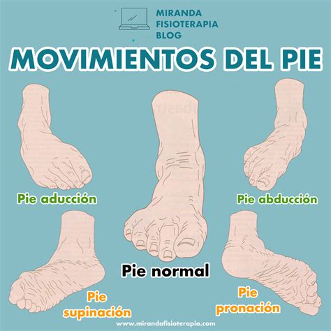 Lista 103 Imagen De Fondo Partes Del Cuerpo En El Pie Mirada Tensa 12 2023