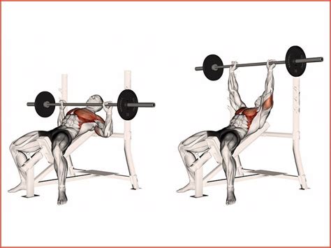 7 Best Upper Chest Workouts Exercises Old School Labs