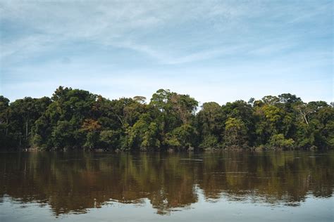 Qual A Import Ncia Da Biodiversidade Brasileira