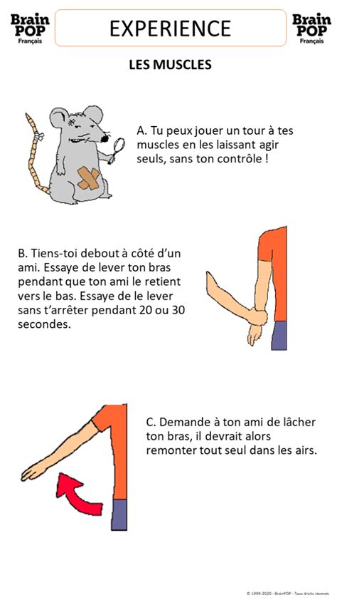 Printables Enseignants