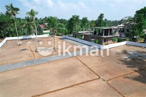 Wadduwa Ikman
