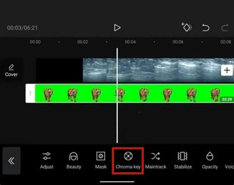 Quick Guide How To Use Green Screen On Capcut