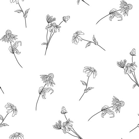 Premium Vector Hand Drawn Line Art Seamless Pattern With Echinacea