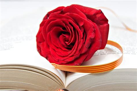 Libros Recomendados Para Sant Jordi 2024 Unihabit