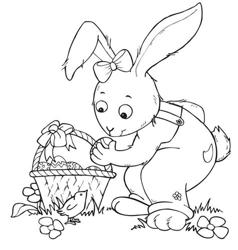 27 Desenhos De Lebre Para Imprimir E Colorir Pintar
