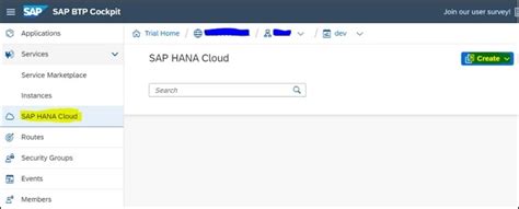 SAP HANA Cloud Creating Instance