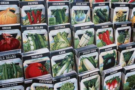 Ce qu il faut savoir avant d acheter des graines de légumes et de