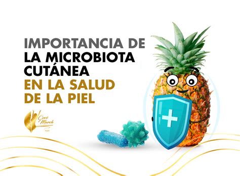Importancia De La Microbiota Cutánea En La Salud De La Piel Coco March
