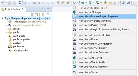 Overriding Module Apps JSP In Liferay 7 DXP LIFERAY STACK