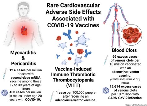 Vascular Disease Patient Information Page Vascular Considerations With