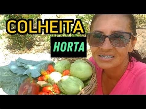 Dia De Colheita Na Horta Youtube