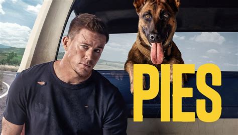 Pies filmy fabularne Oglądaj na TVP VOD